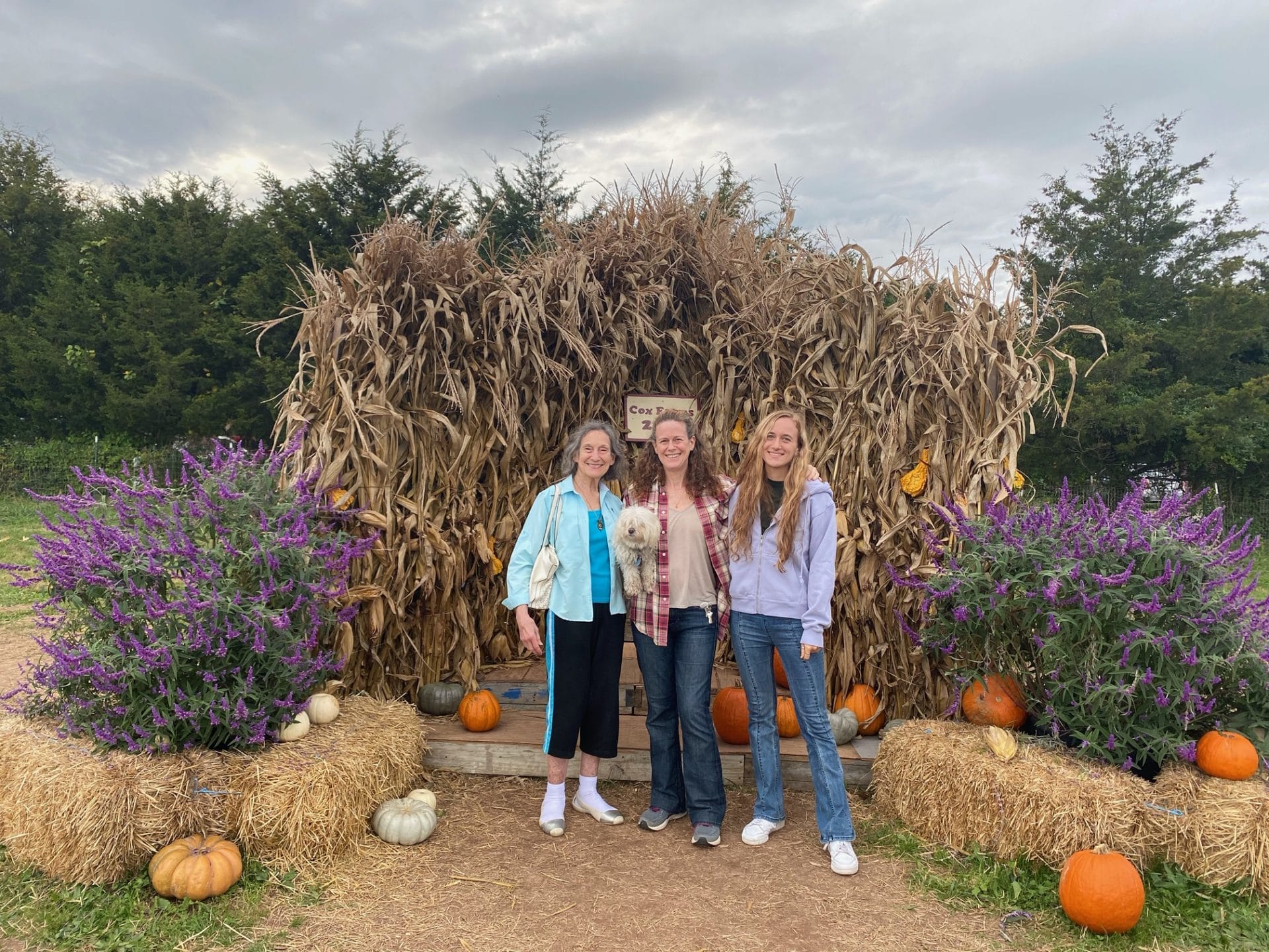 Desperate Times Call for… Radical Creativity: Hooray For Monday ...